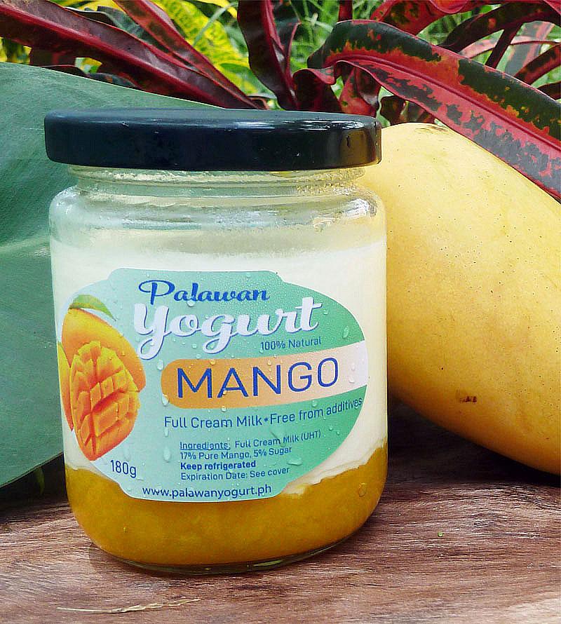 MANGO Yogurt - Full Cream Milk - 17% pure fruit