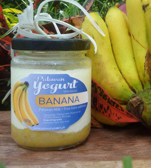 BANANA Yogurt - Palawan Milk - 17% pure fruit content